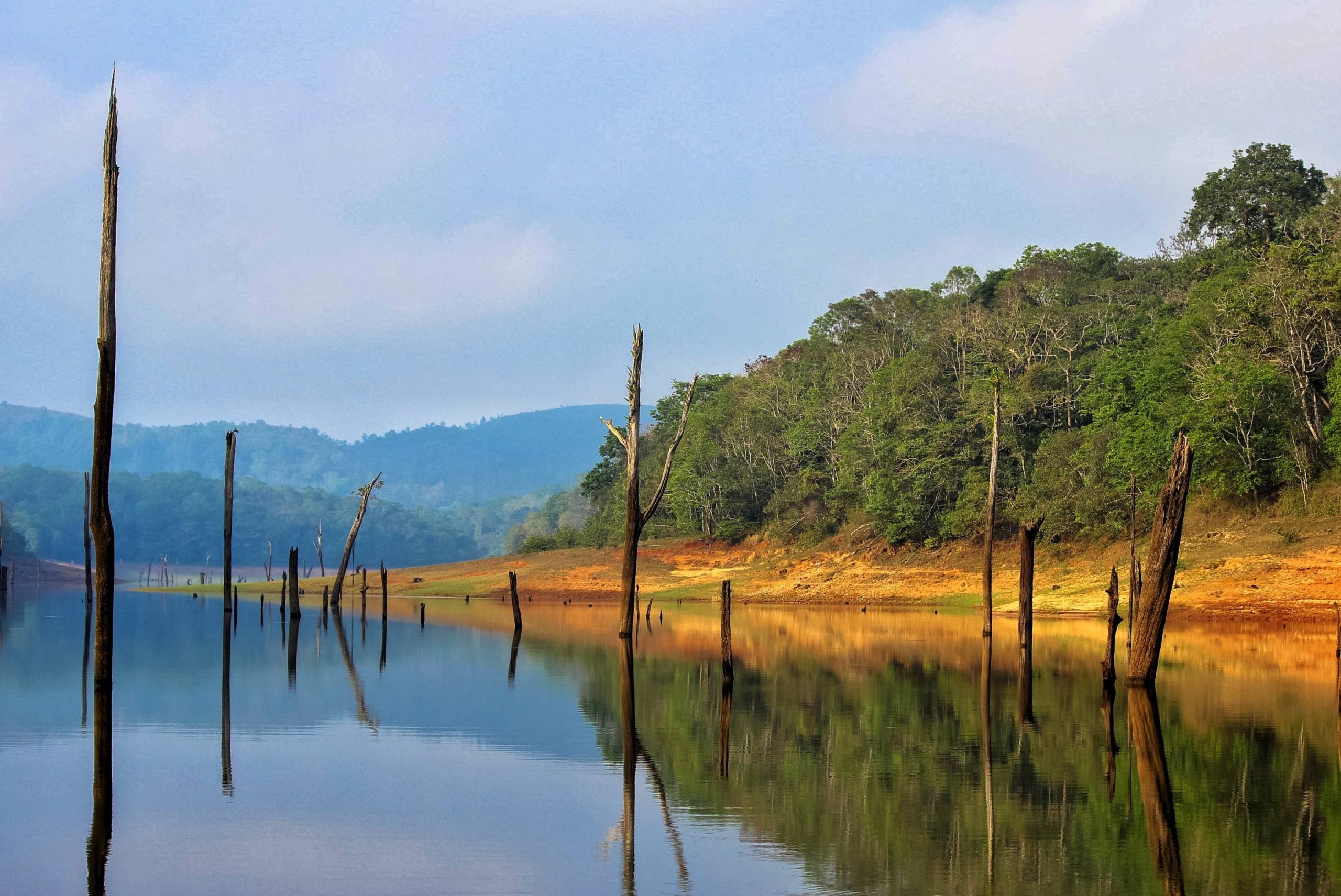 My experience in Thekkady Kerala- Places to visit in Thekkady, Things ...
