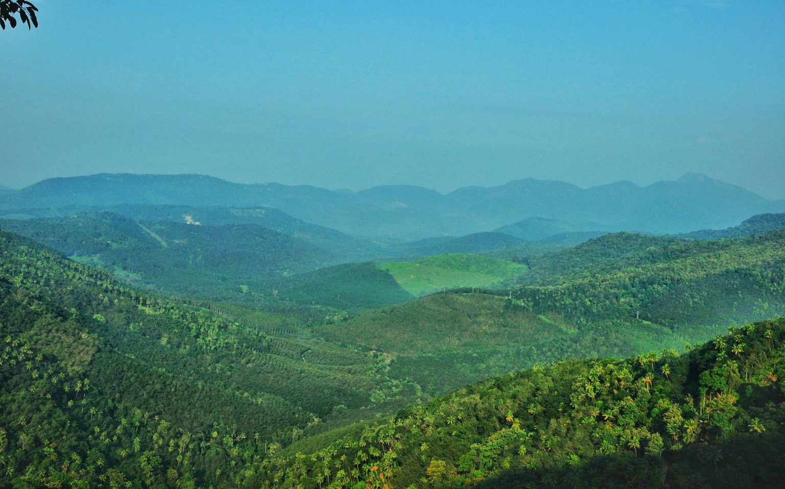 My experience in Thekkady Kerala- Places to visit in Thekkady, Things ...