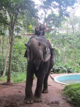 Munnar Kerala: Places to visit in Munnar that can't be missed!