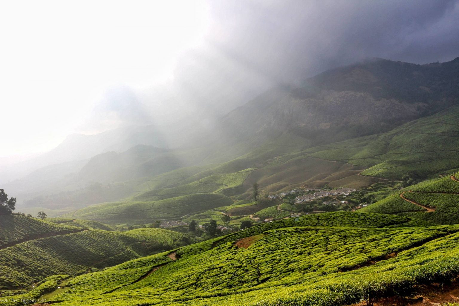 Munnar Kerala: Places to visit in Munnar that can't be missed!