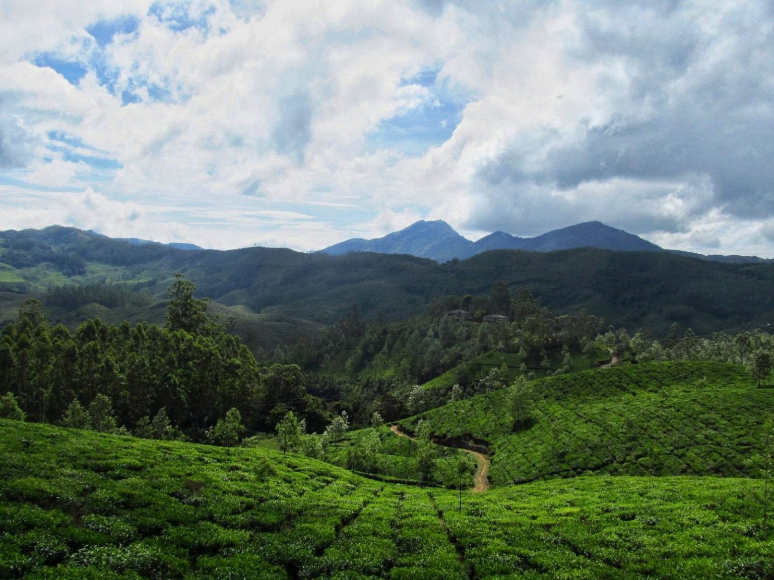 Munnar Kerala: Places to visit in Munnar that can’t be missed! - The ...