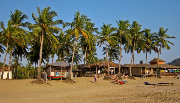 The best beach shacks in Goa: North Goa & South Goa - The Traveling CA