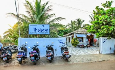 The best beach shacks in Goa: North Goa & South Goa - The Traveling CA