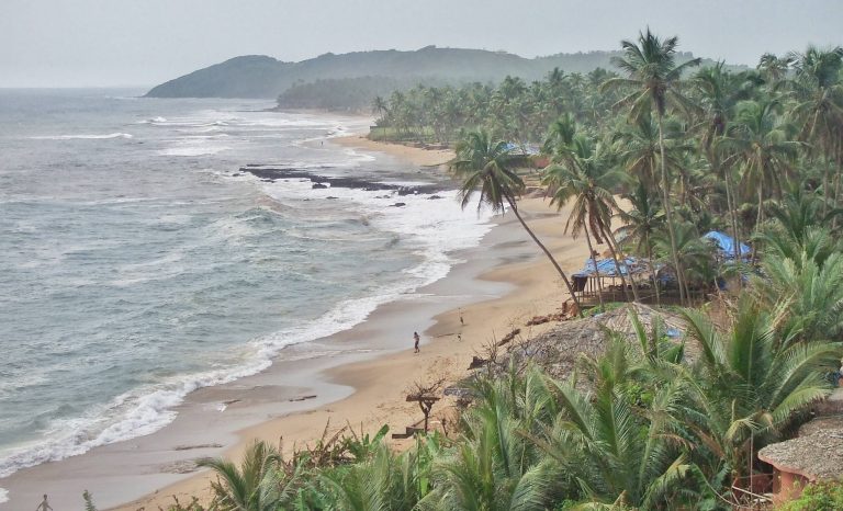 The best beach shacks in Goa: North Goa & South Goa - The Traveling CA